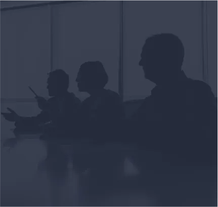 Vanilla: Company History, Values, and Leadership Team